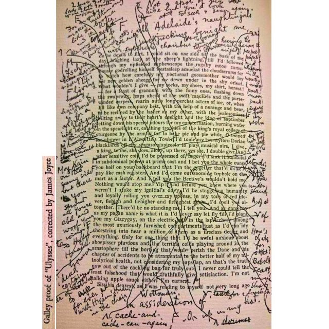 100 YEARS IN FULL BLOOM | andy merrifield